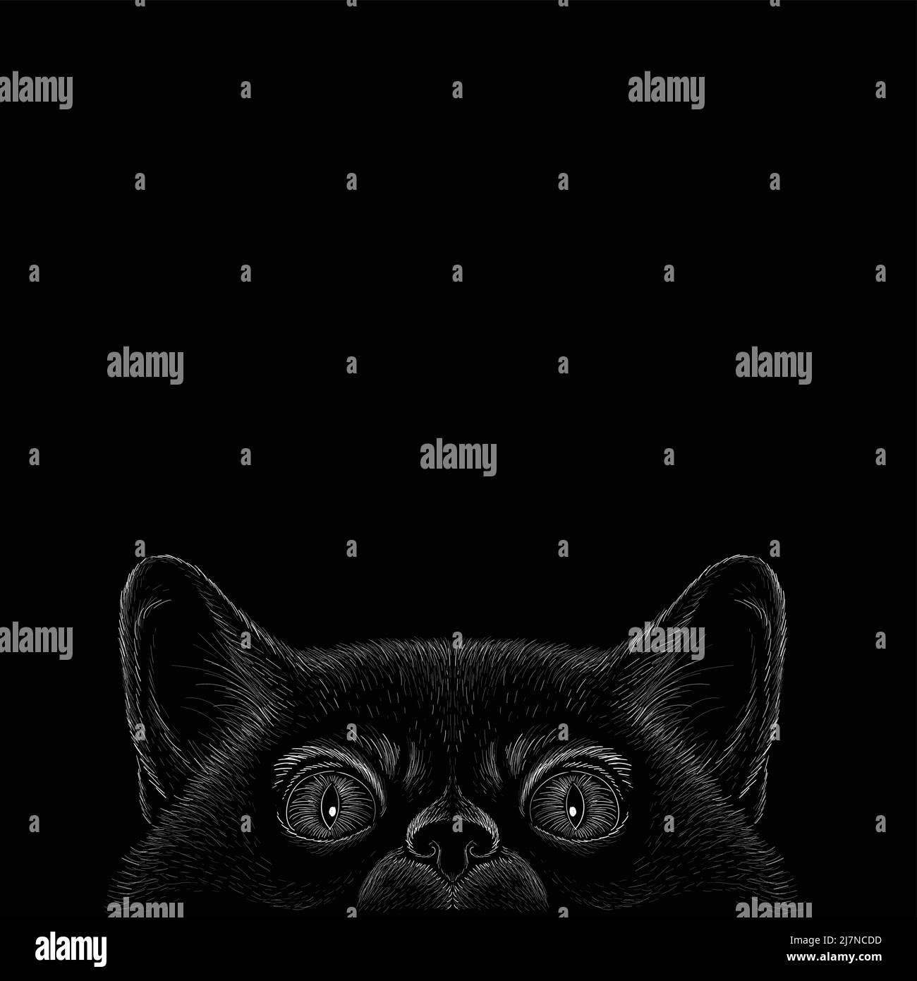 Cat vector art illustration T-shirt apparel tattoo design or outwear ...