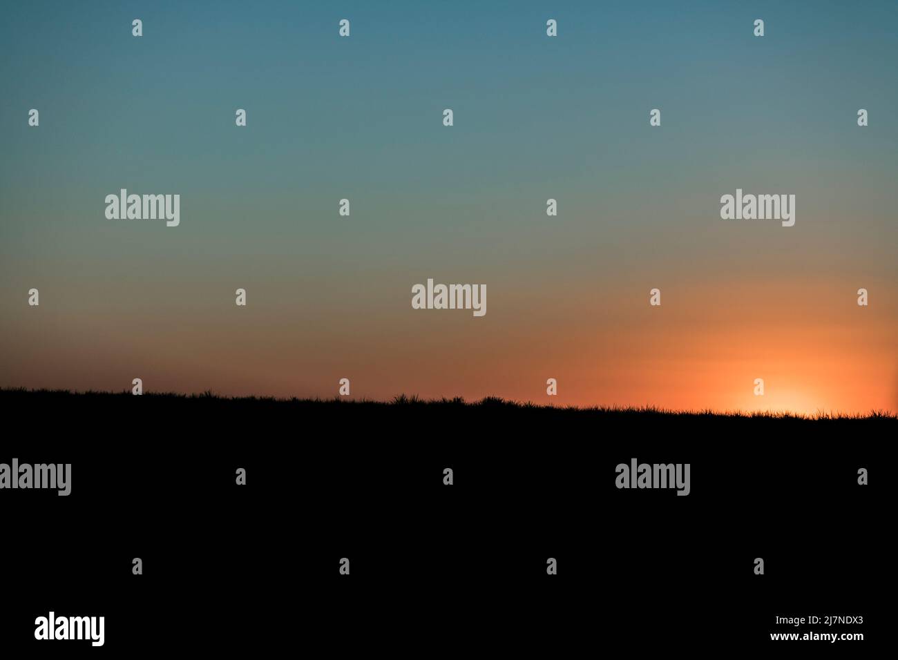 Sunset over the farm. Sundown on Sugar Cane Plantation Field Stock ...