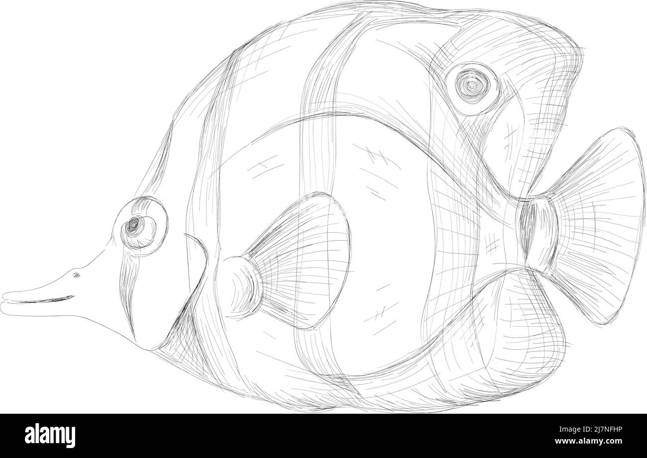 Black grouper fishing Stock Vector Images - Alamy