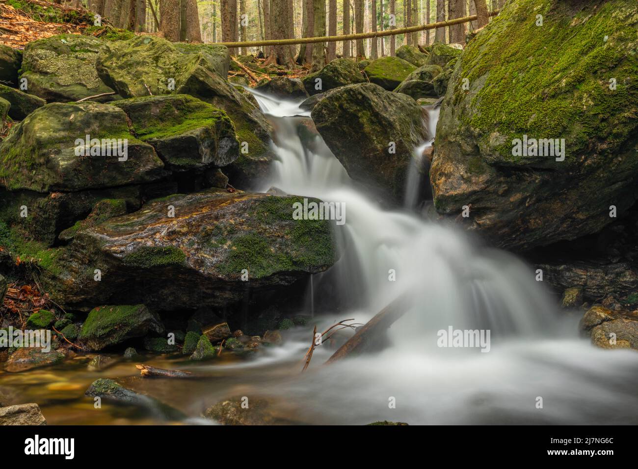 Geigenbachfalle waterfall near Groser Arber hill in Germany in spring ...