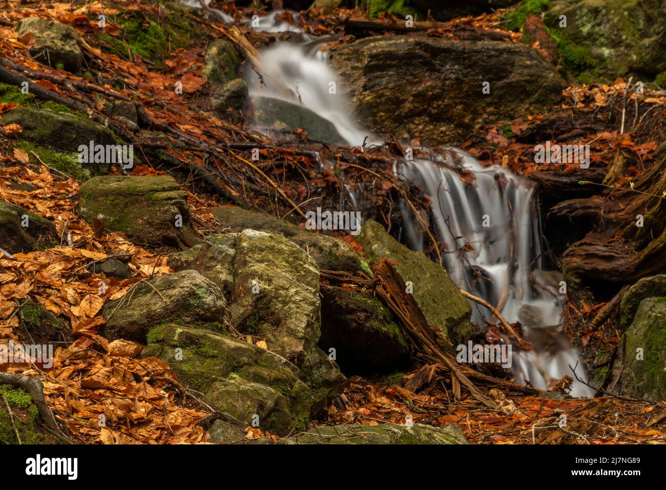 Geigenbachfalle waterfall near Groser Arber hill in Germany in spring ...