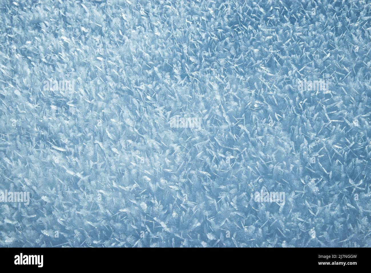 seasonal background or texture abstract frozen snow crystals Stock ...