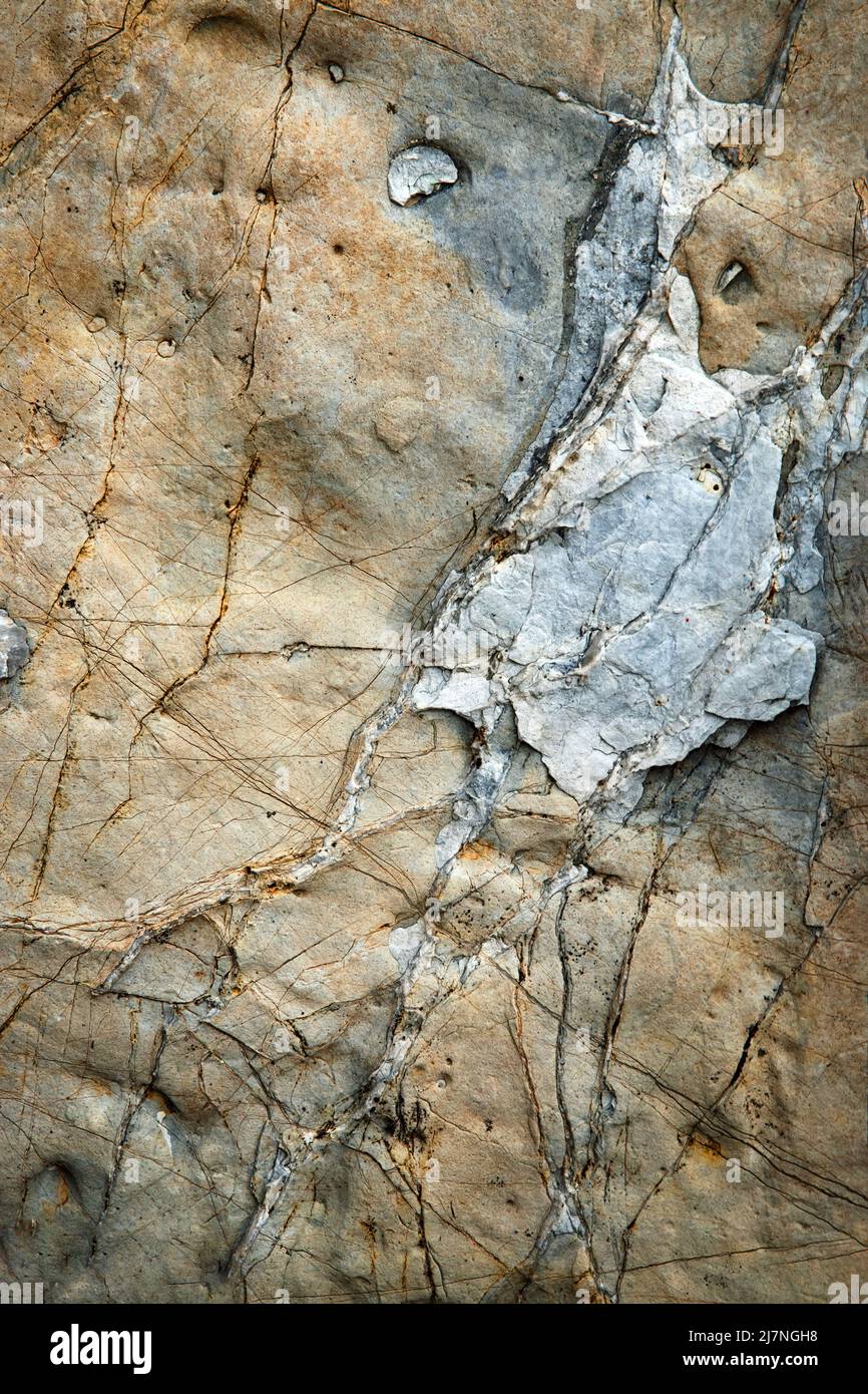 abstract background or texture quartz veins on blue limestone rock ...