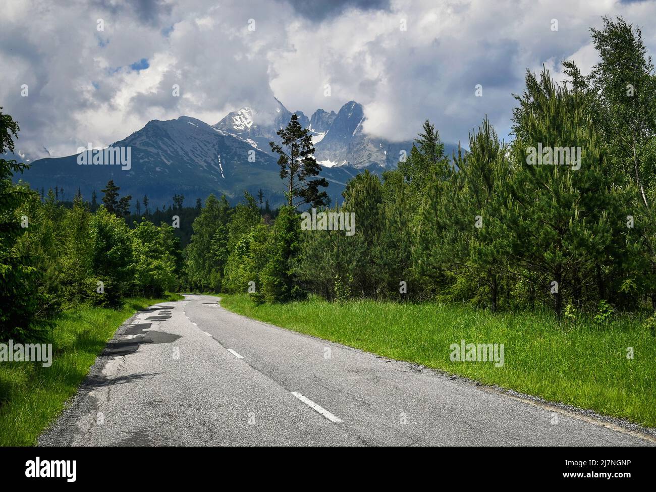 nature seasonal background asphalt road through mountain forest with ...