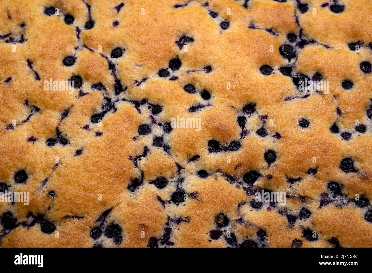 Pie texture hi-res stock photography and images - Alamy