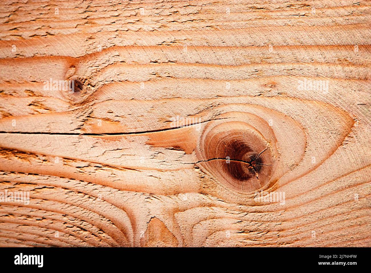 Tree cut rings knot hi-res stock photography and images - Alamy