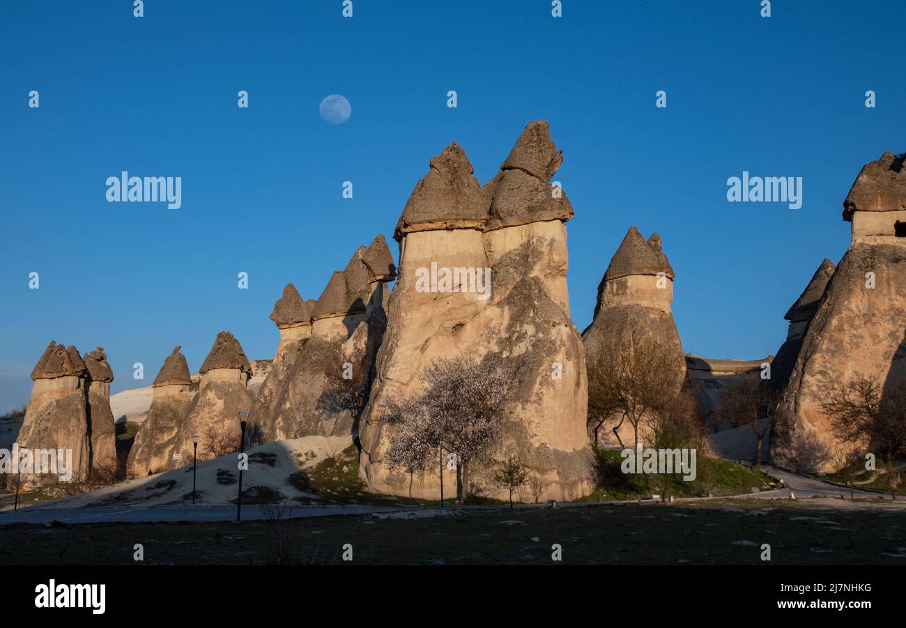 Pasabag Open Air Museum in Cappadocia Region, Nevsehir Province in ...