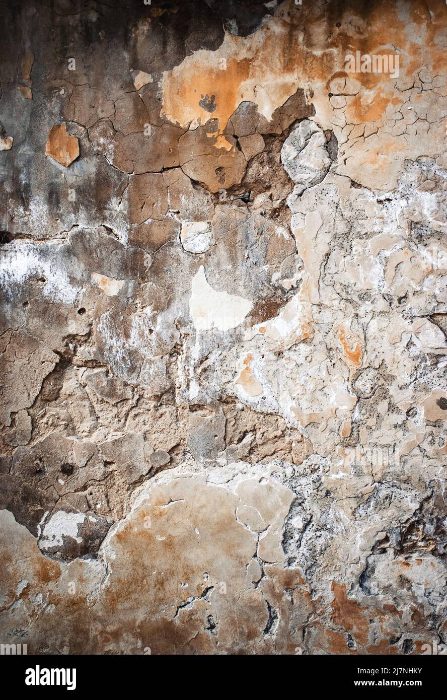 abstract background or texture Detail of an old weathered fallen ...
