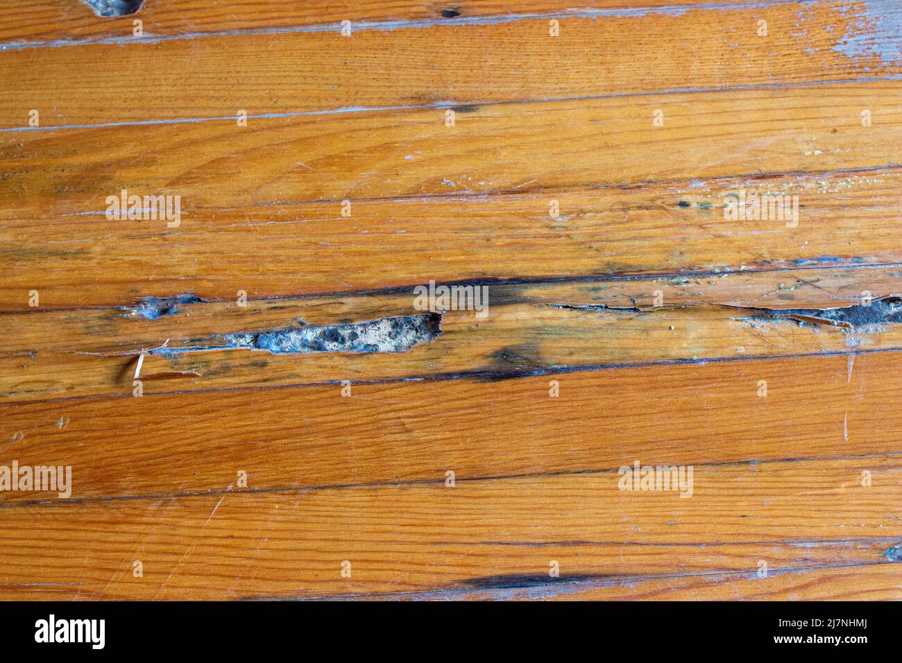 Old damaged parquet. Top view of ruined parquet floor Stock Photo - Alamy