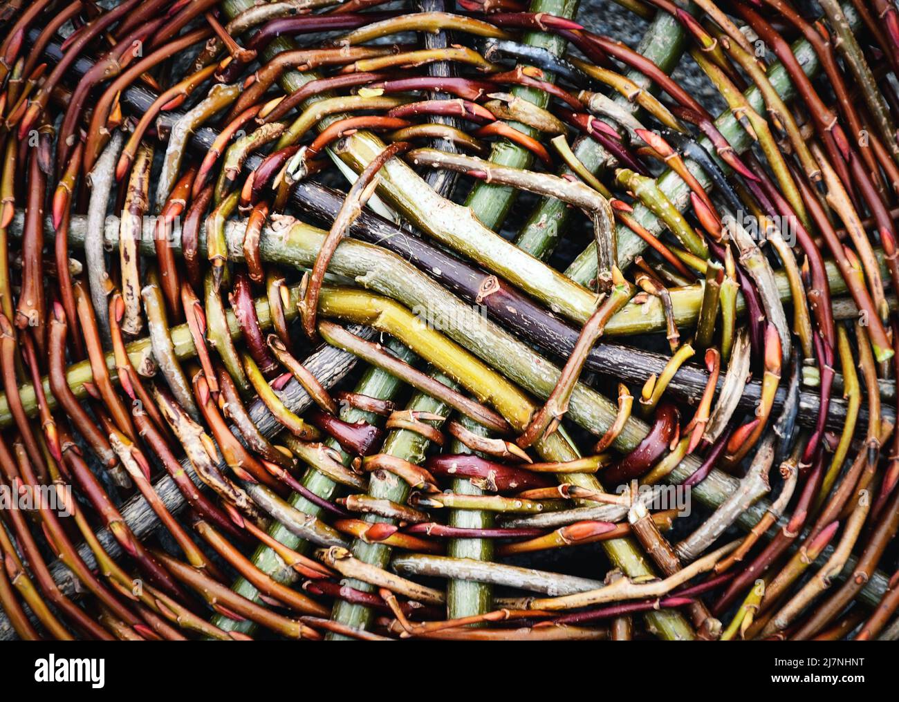 background or texture detail of center wicker basket strings Stock ...