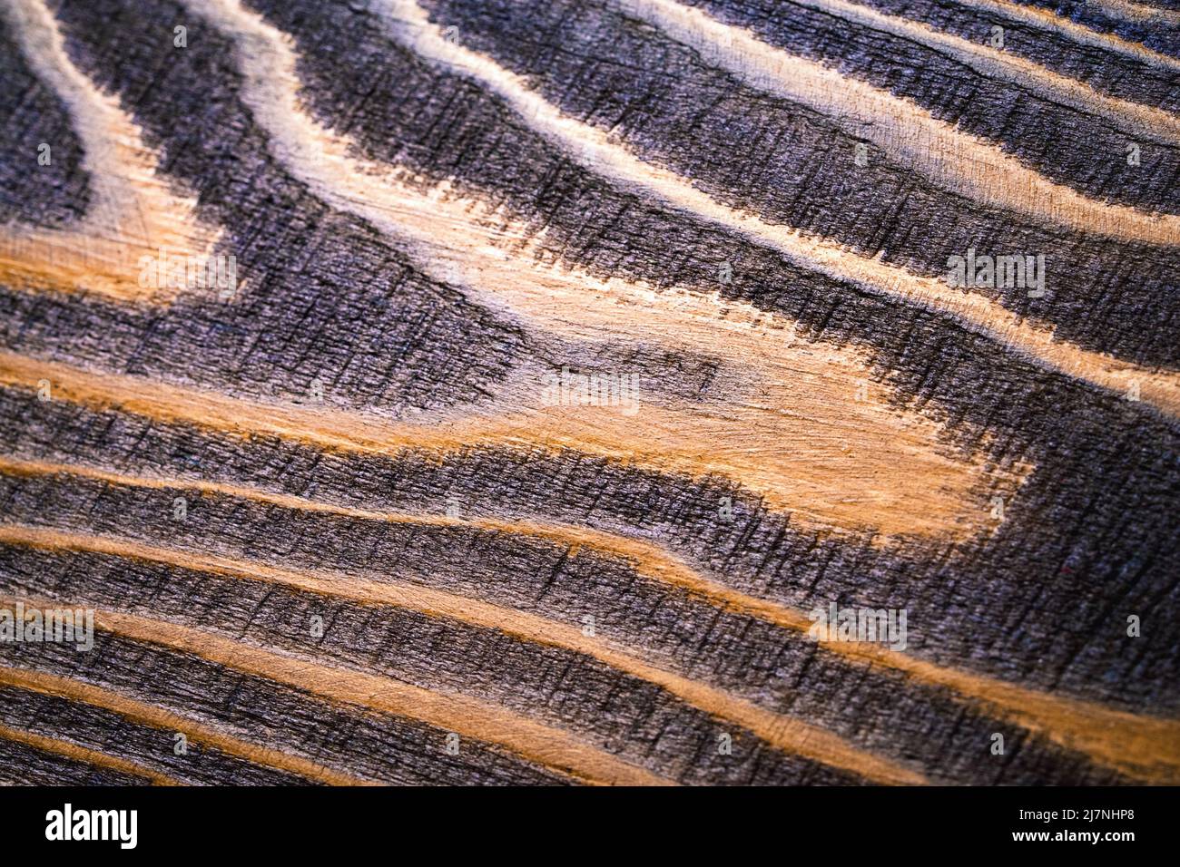 abstract background or texture detail of cut old wood structure Stock ...