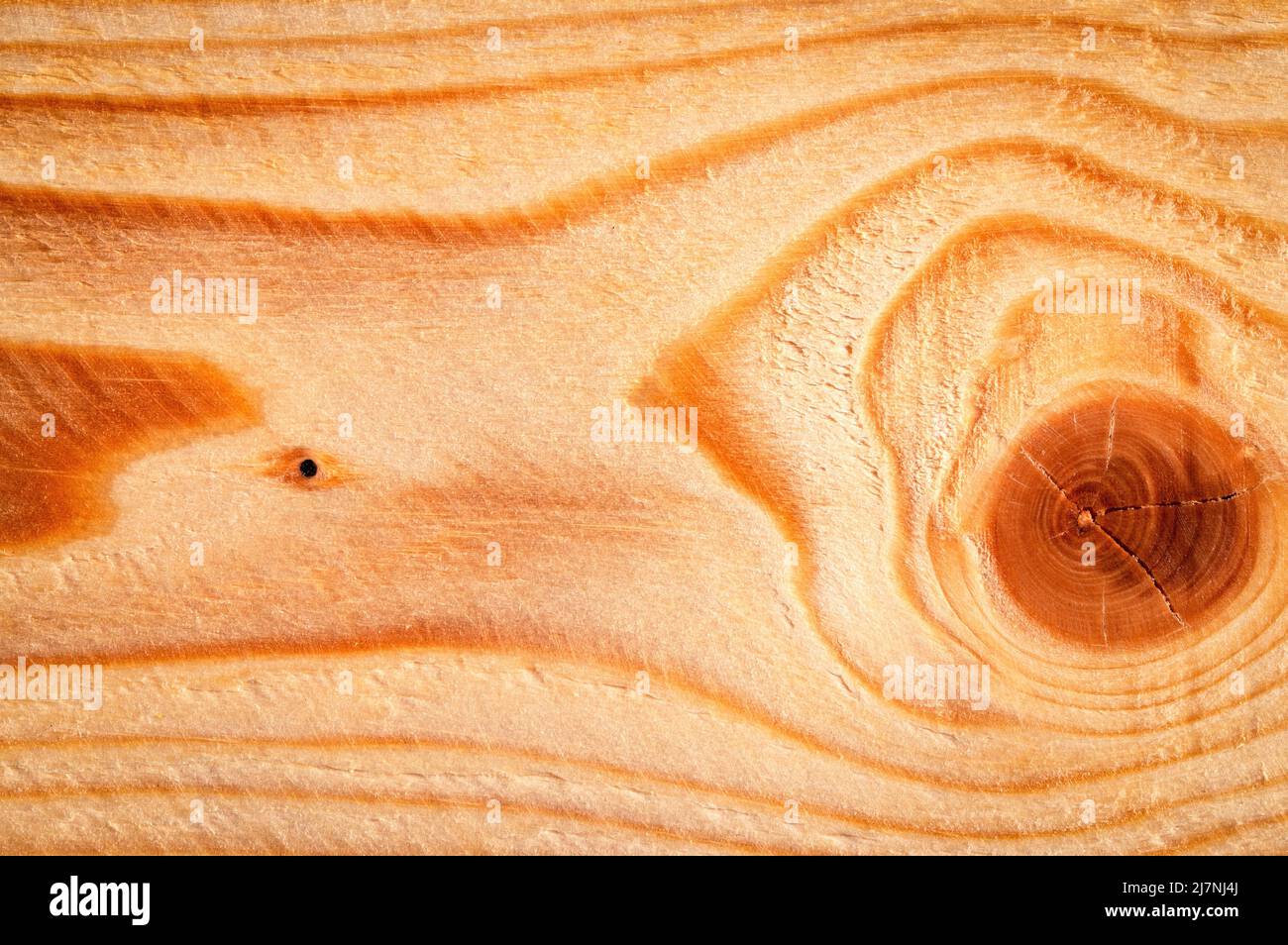 abstract background or texture detail of tree rings and knots on wood ...
