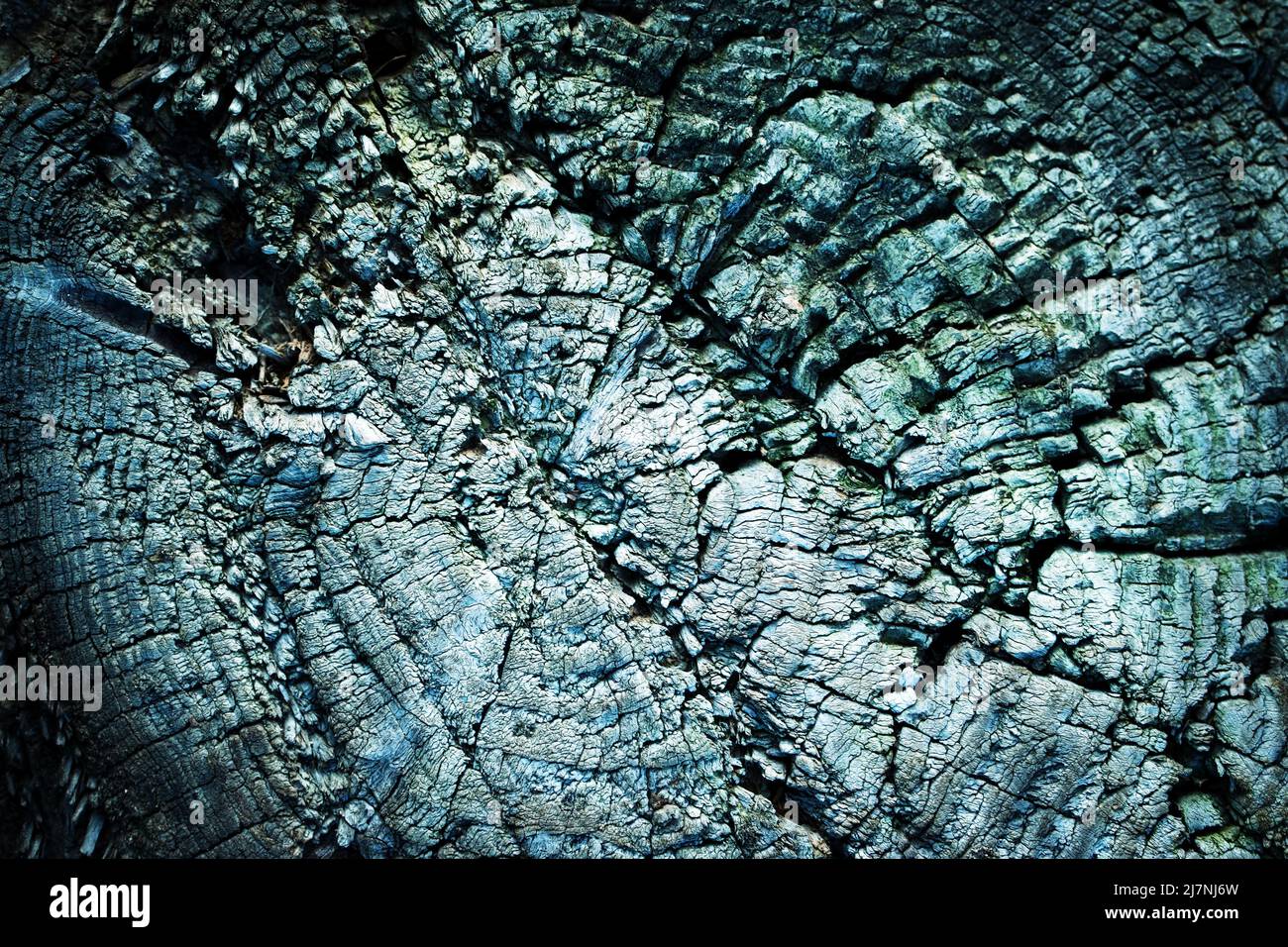 Weathered stump hi-res stock photography and images - Alamy