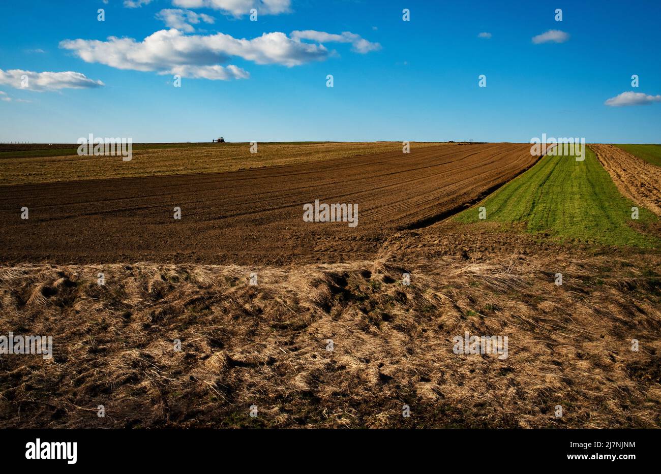 landscape seasonal background Fields sowing in spring Stock Photo - Alamy