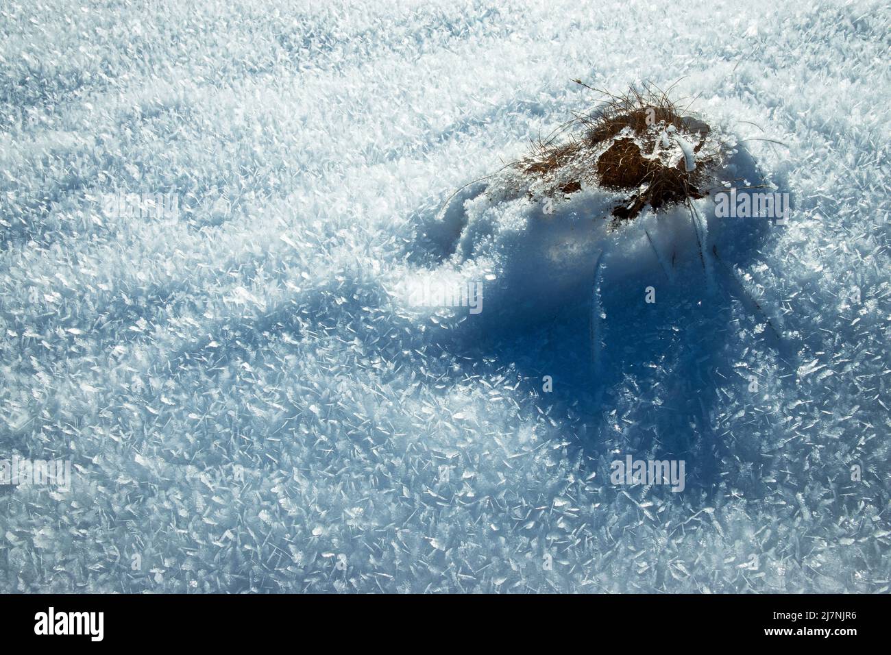seasonal nature background frozen flakes of snow Stock Photo - Alamy