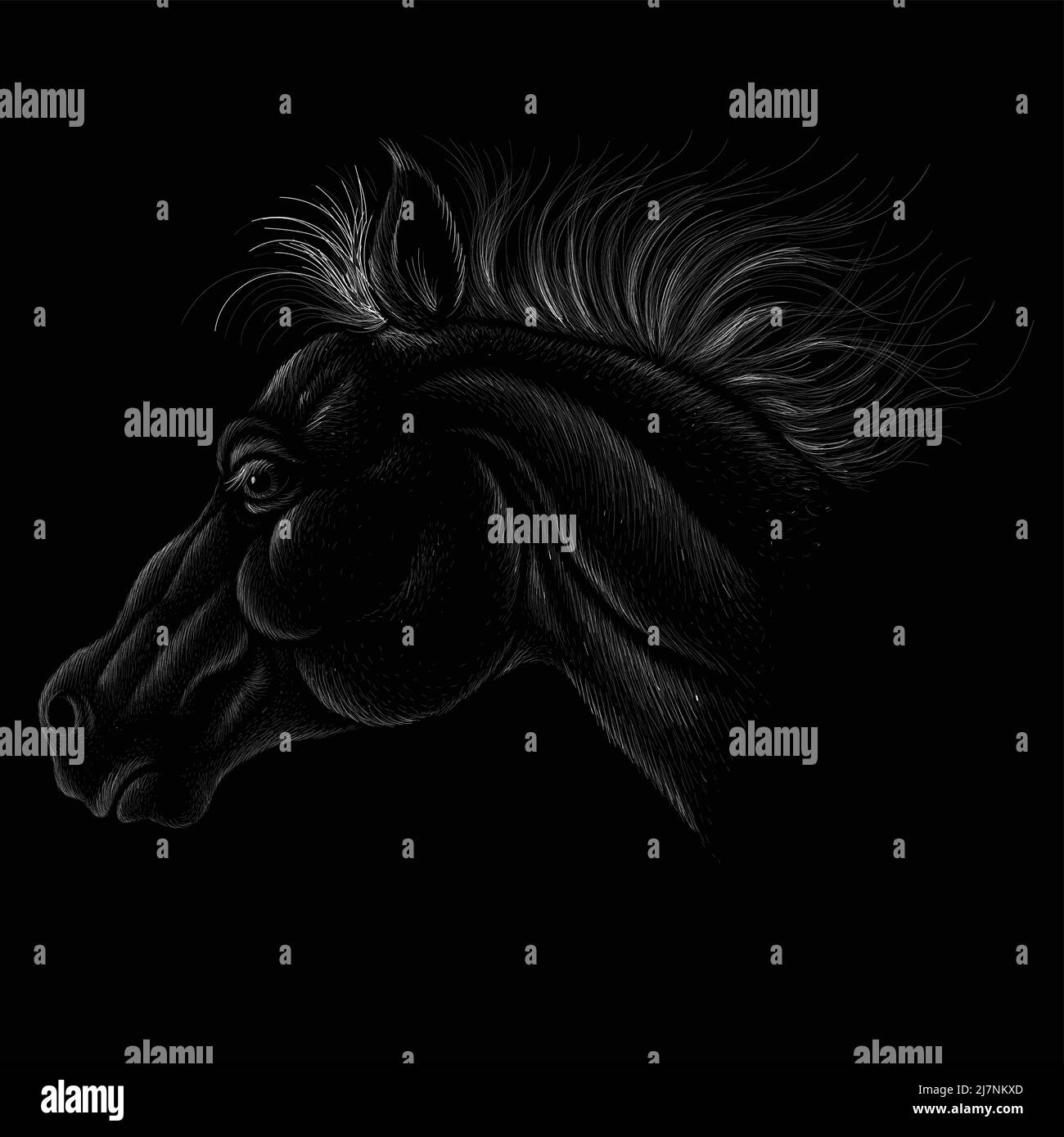 International logo on old Black and White Stock Photos & Images - Alamy