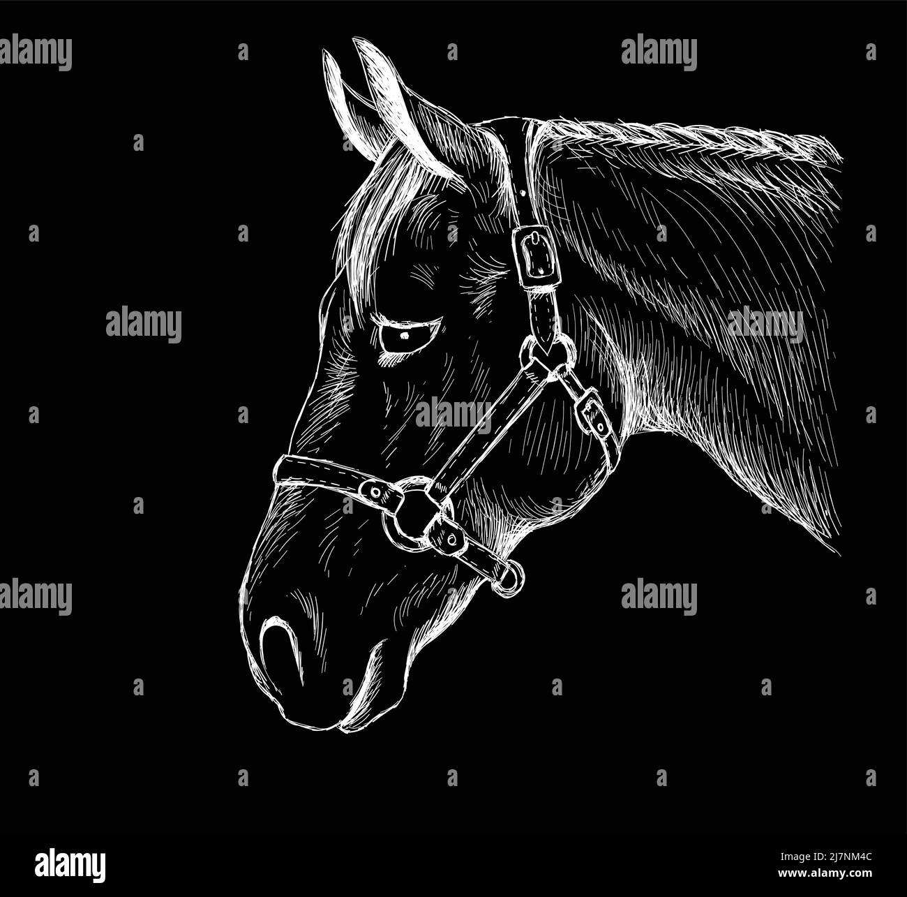 Horses head painting Stock Vector Images - Alamy