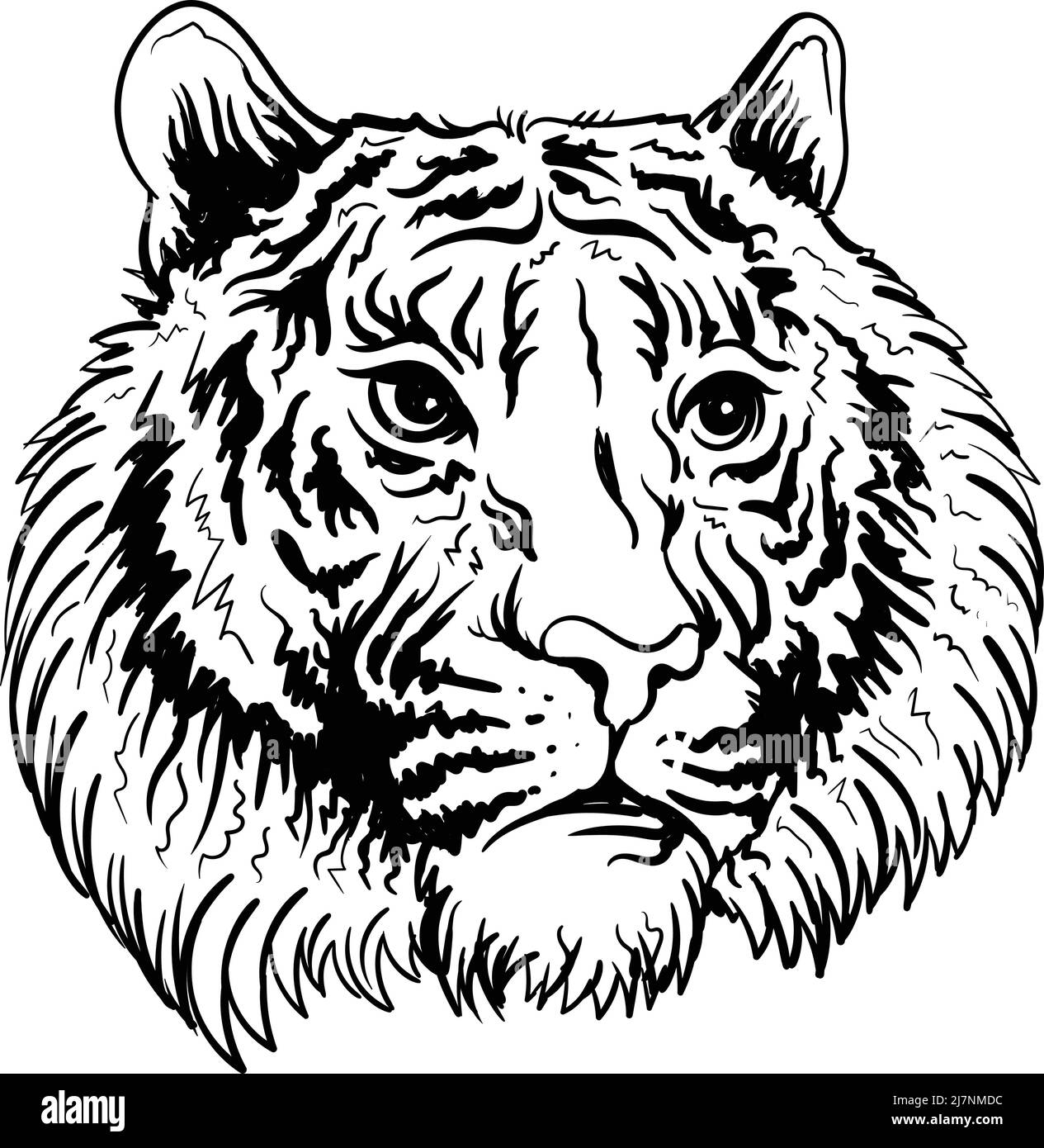 Tiger painting old Black and White Stock Photos & Images - Alamy