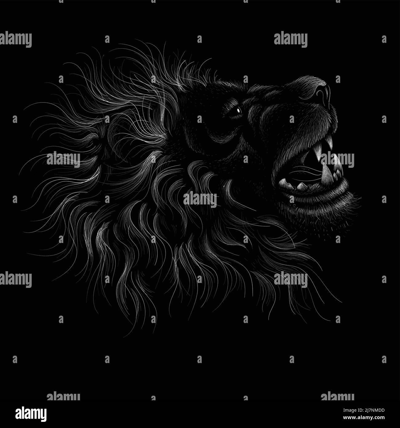 111animals Stock Vector Images - Alamy