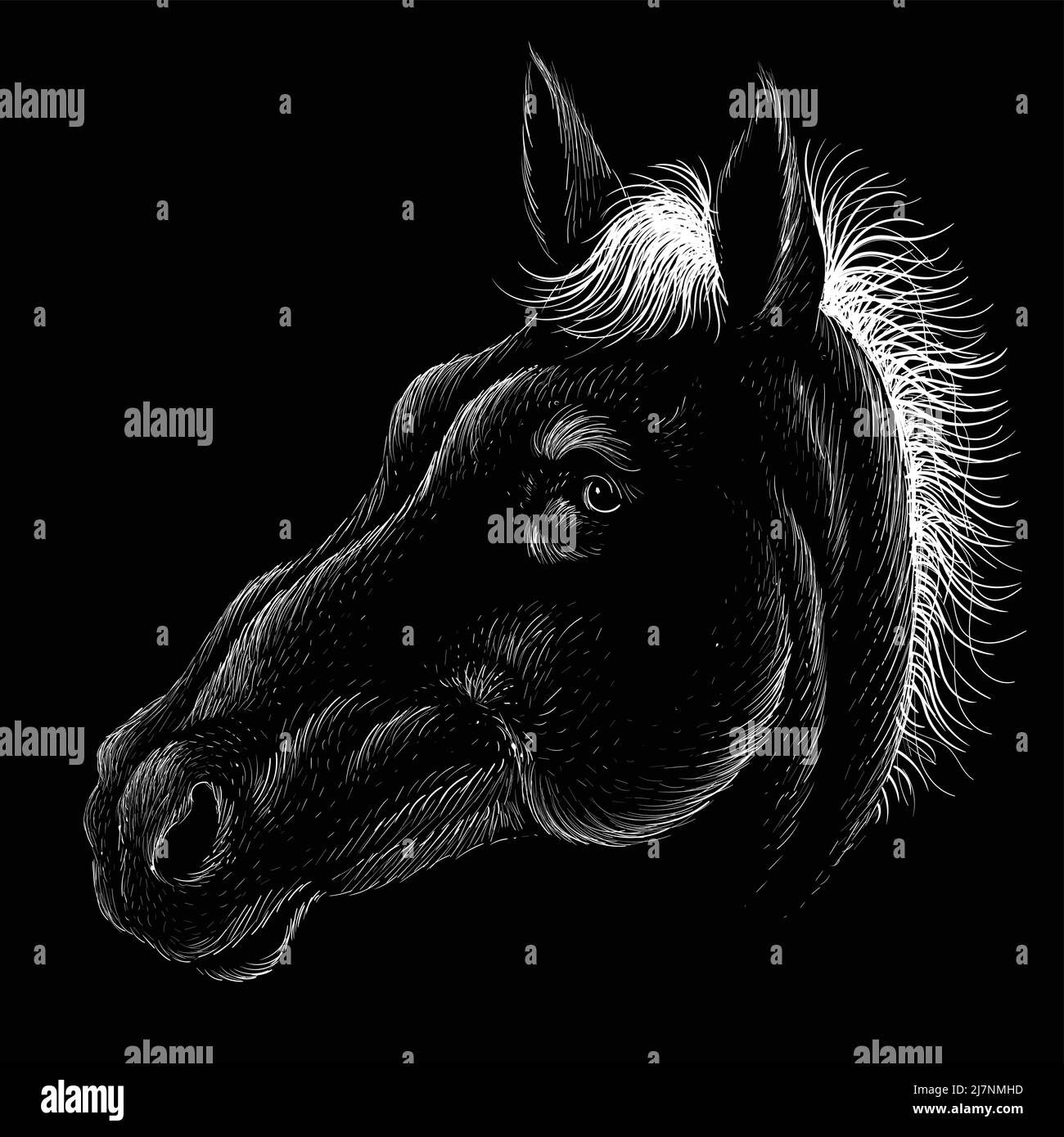 International logo on old Black and White Stock Photos & Images - Alamy