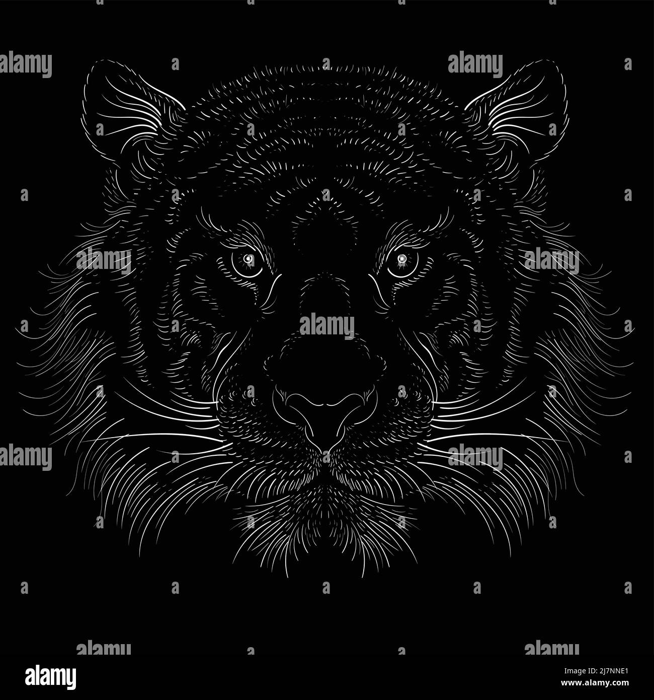 Chita vector vectors hi-res stock photography and images - Alamy