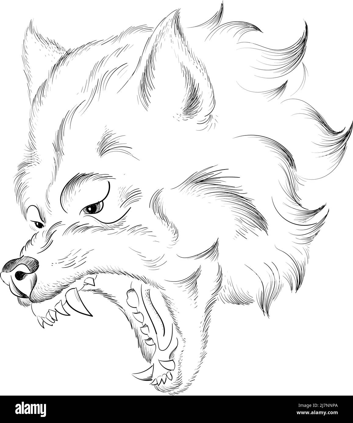 Black Wolf Drawing Easy