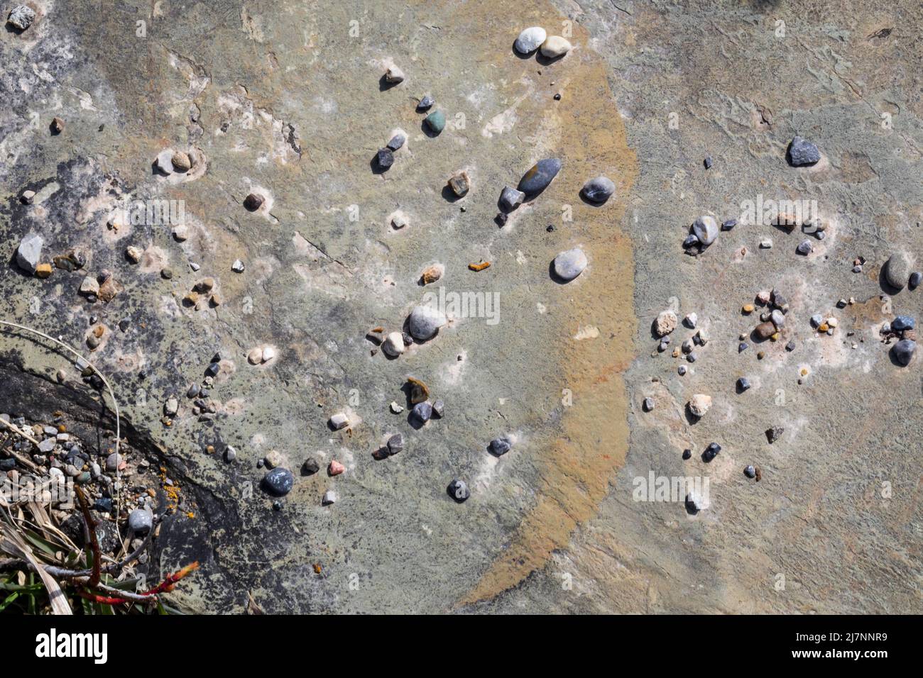 Flat tones hi-res stock photography and images - Alamy