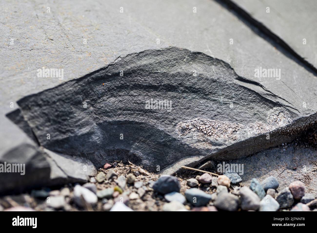 Rock decor hi-res stock photography and images - Alamy