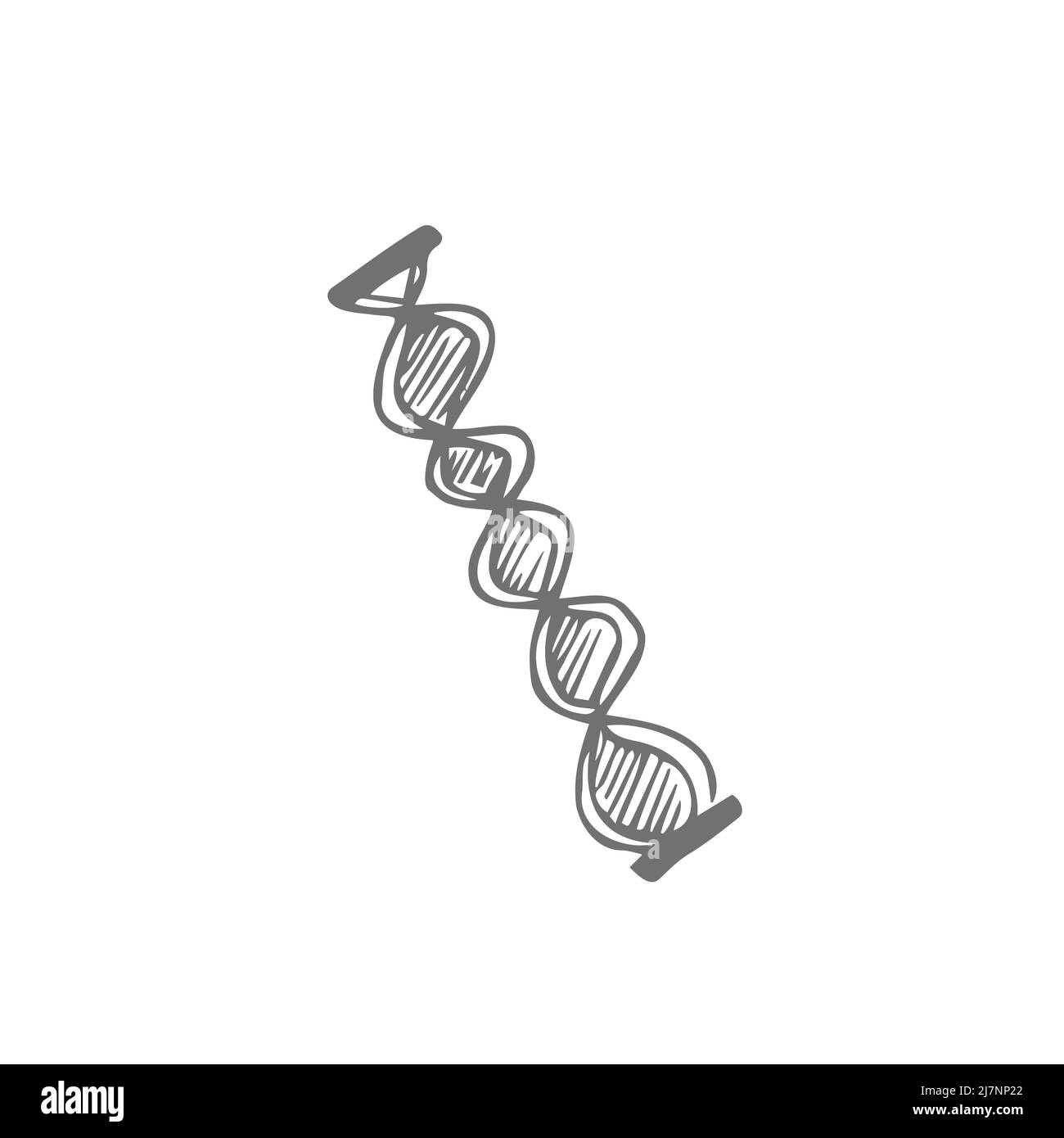 vector doodle dna spiral sketch. medical concept Stock Vector Image ...