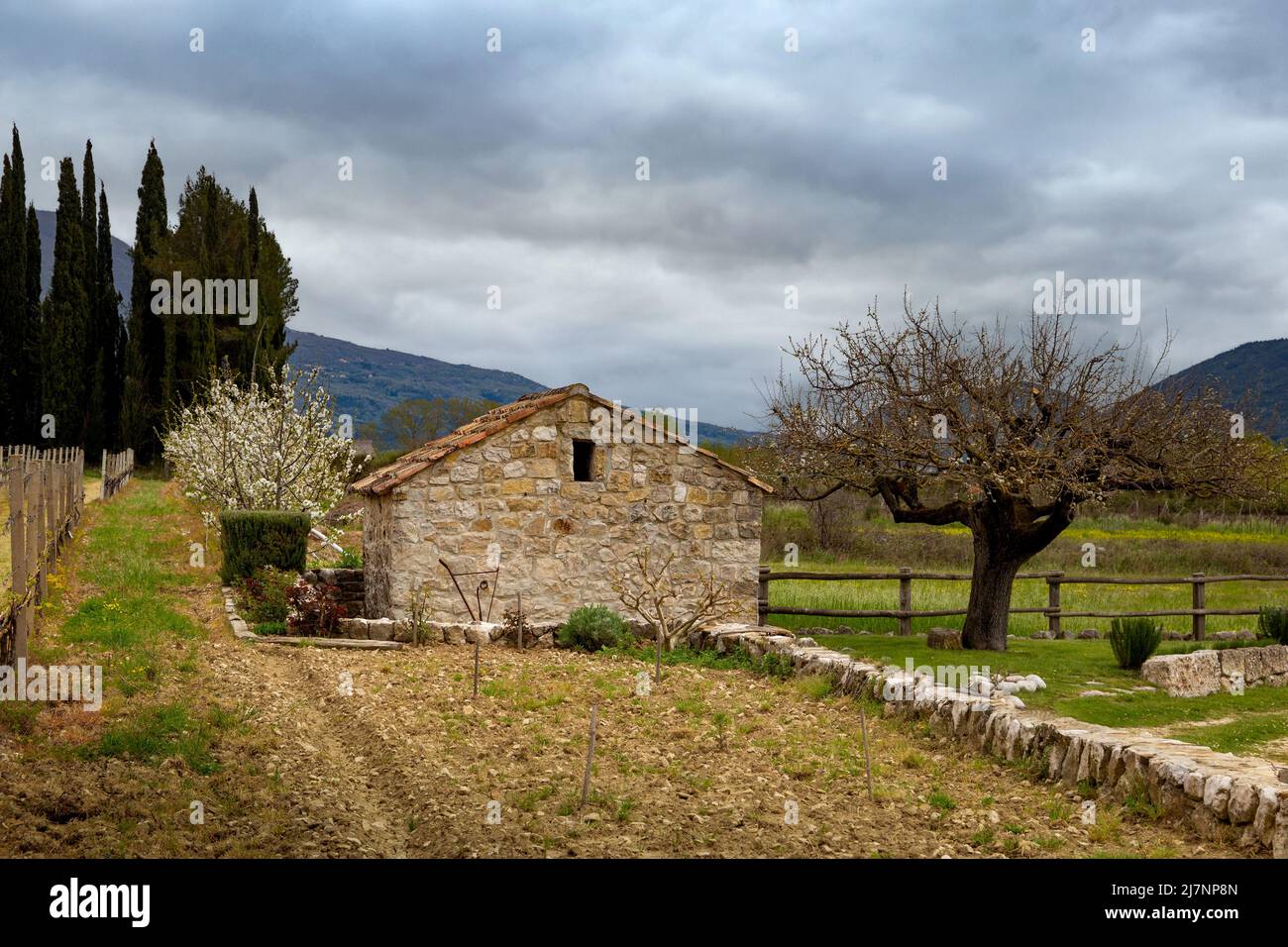 Old farm barn in spring vineyard. Adriatic agriculture Stock Photo - Alamy