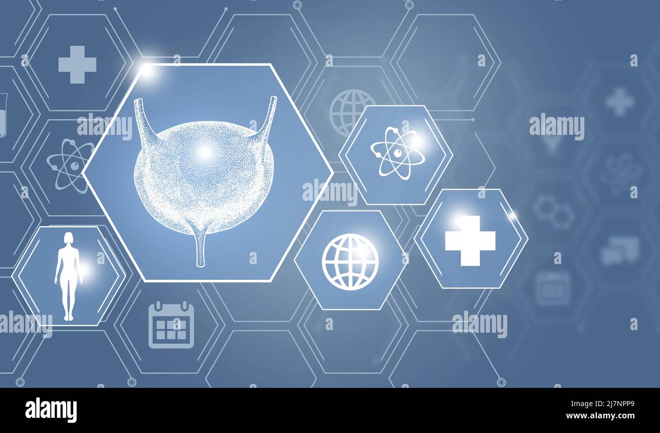 Human internal organ bladder emergency help and protection from urinary ...