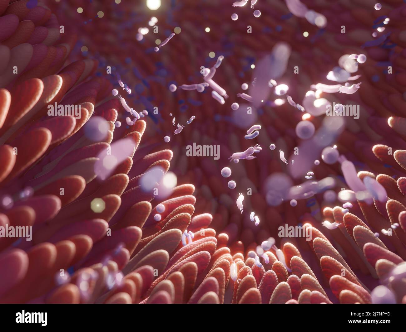 Microbiome intestine factories and microbiota. Gut health 3d render ...