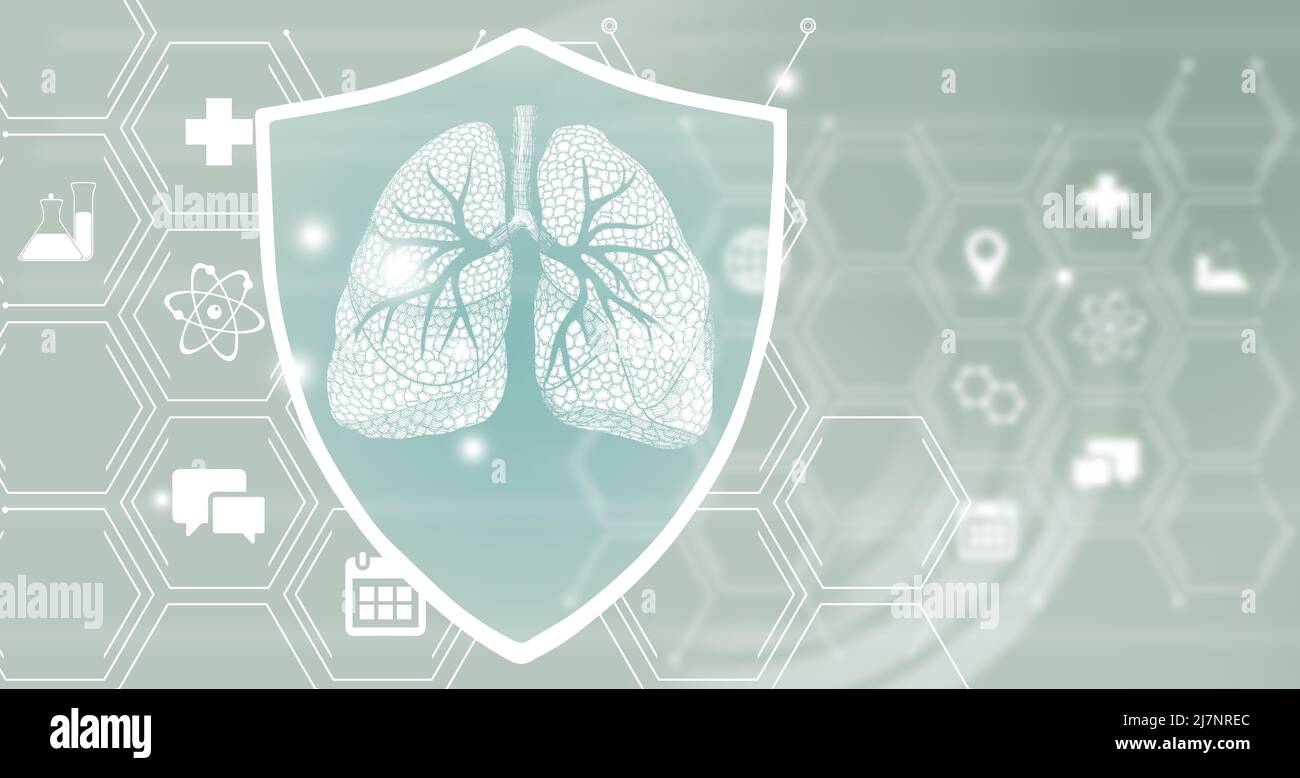 Human internal organ Lungs emergency help and protection from diseases ...