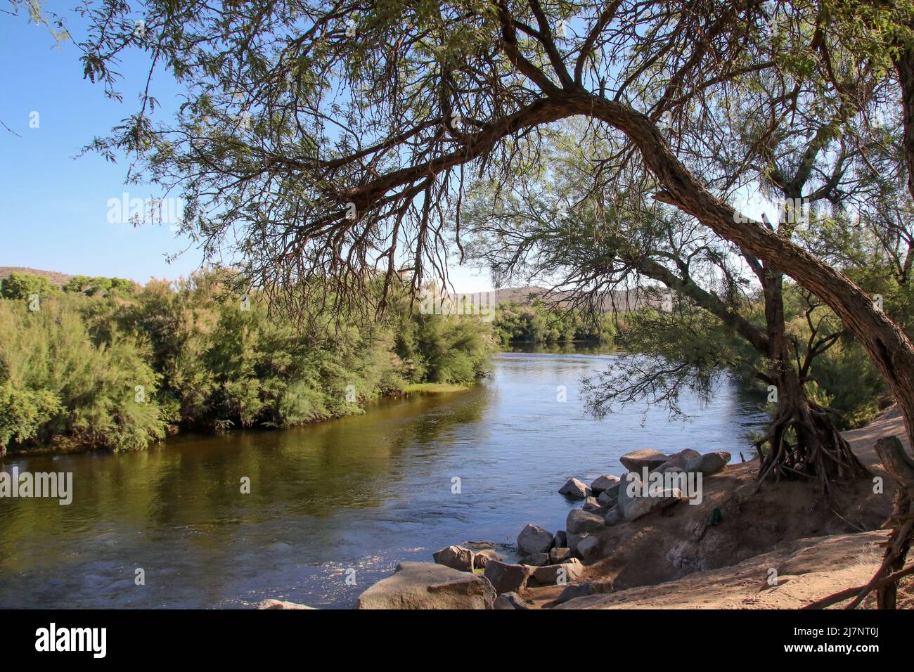 Coon Bluff Recreation Area, Mesa, AZ Stock Photo - Alamy