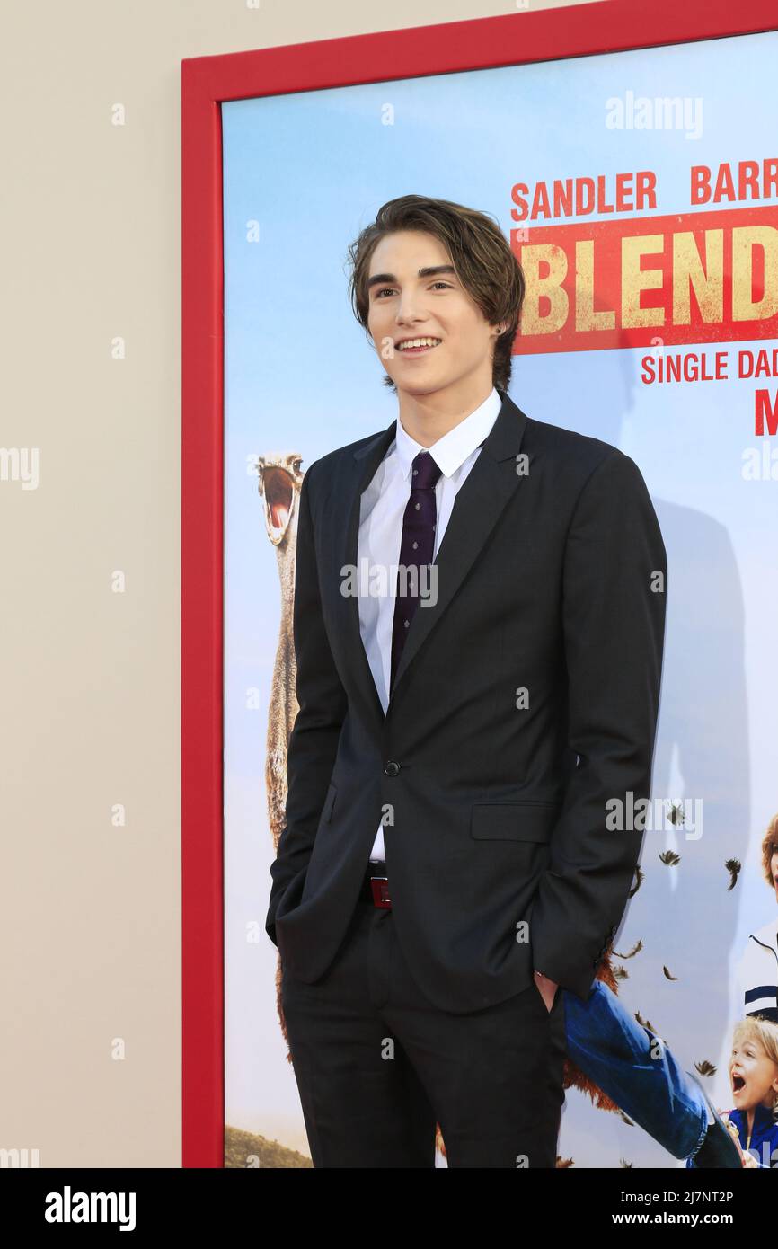 LOS ANGELES - MAY 21: Zak Henri at the "Blended" Premiere at TCL ...