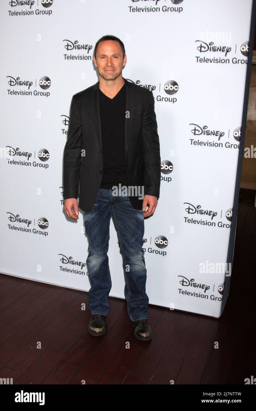 LOS ANGELES - JAN 17: William deVry at the Disney-ABC Television Group ...
