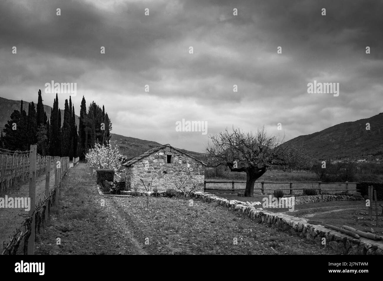 Old stone farm barn in spring vineyard. Europe Stock Photo - Alamy