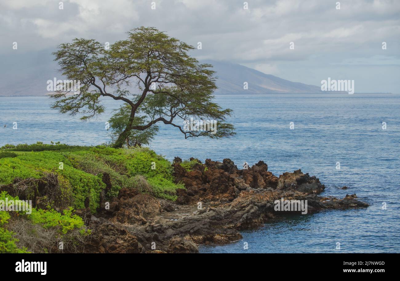 Idyllic scene beach in Thailand. Tropical blue sea and a sand beach ...