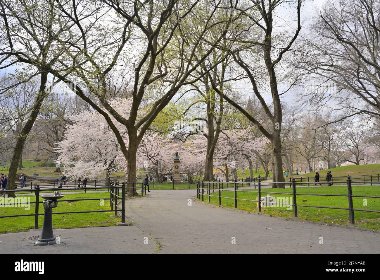 Spring flowers rockefeller center in hi-res stock photography and ...
