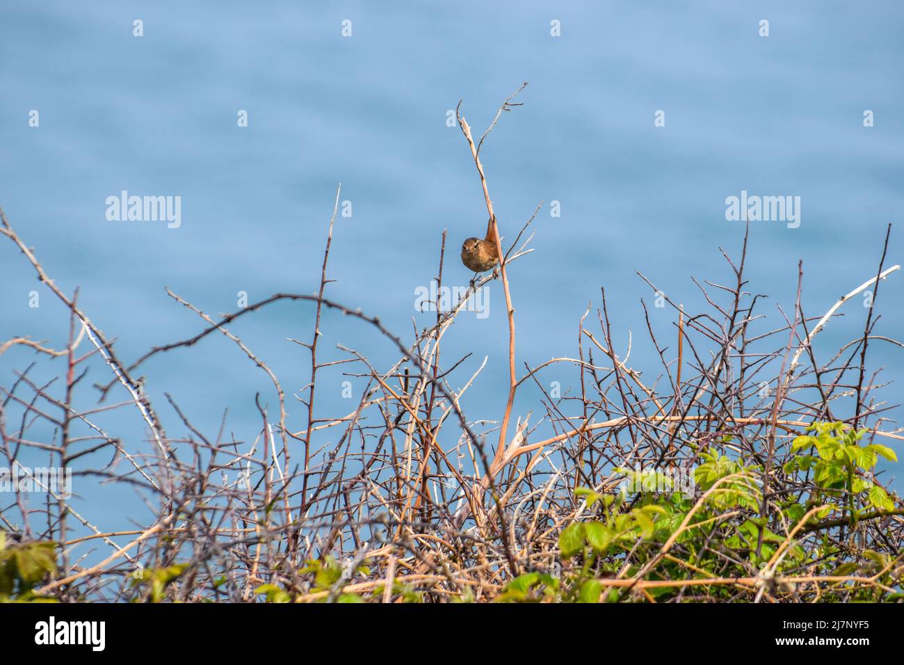 Vault Beach 290422 Stock Photo - Alamy