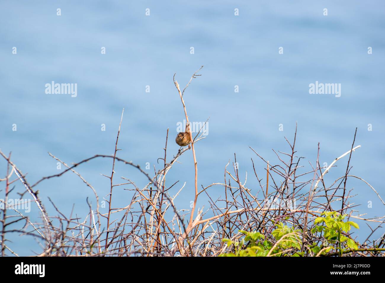 Vault Beach 290422 Stock Photo - Alamy