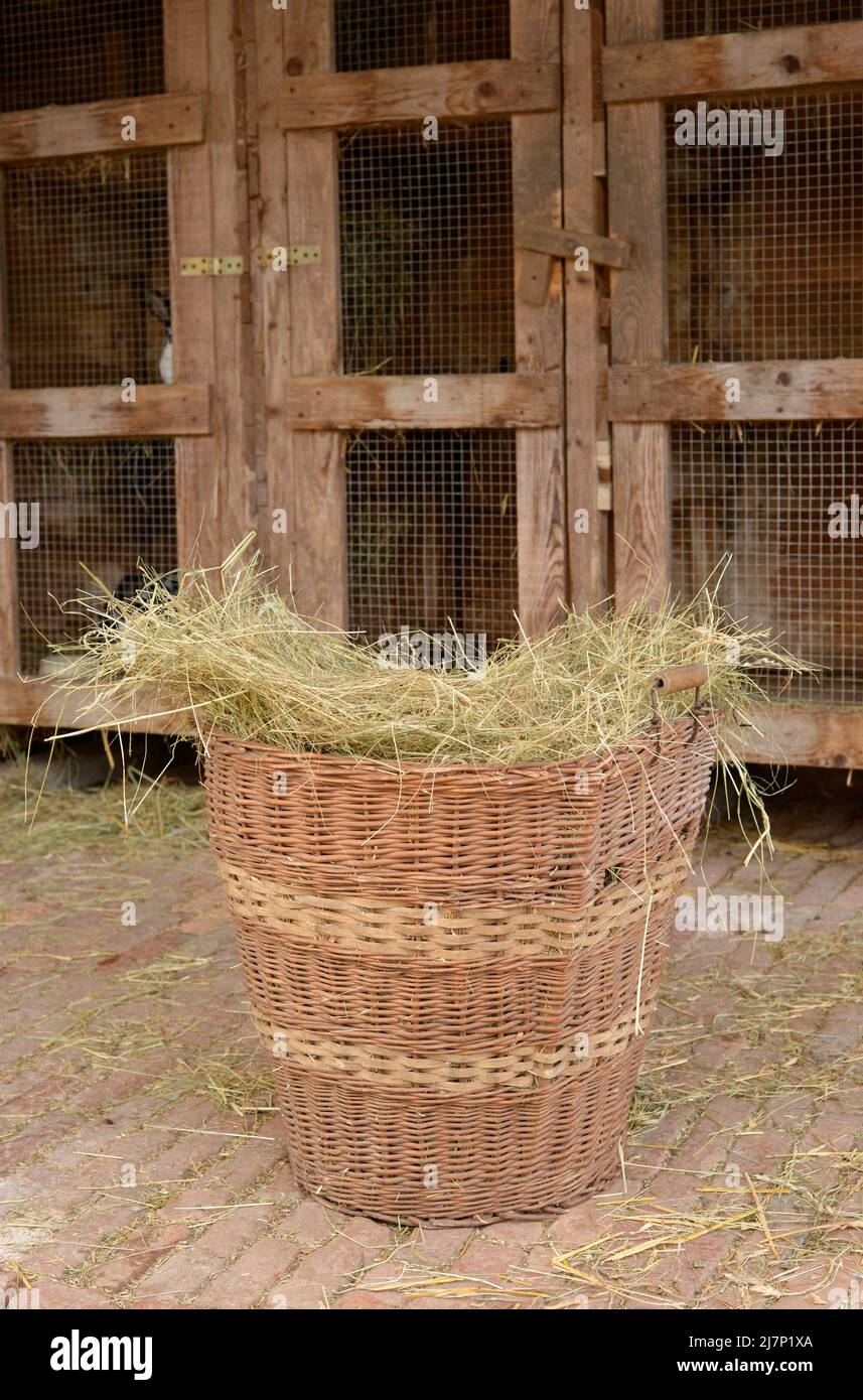 Braided basket with grass in front of rabbit stable Stock Photo - Alamy
