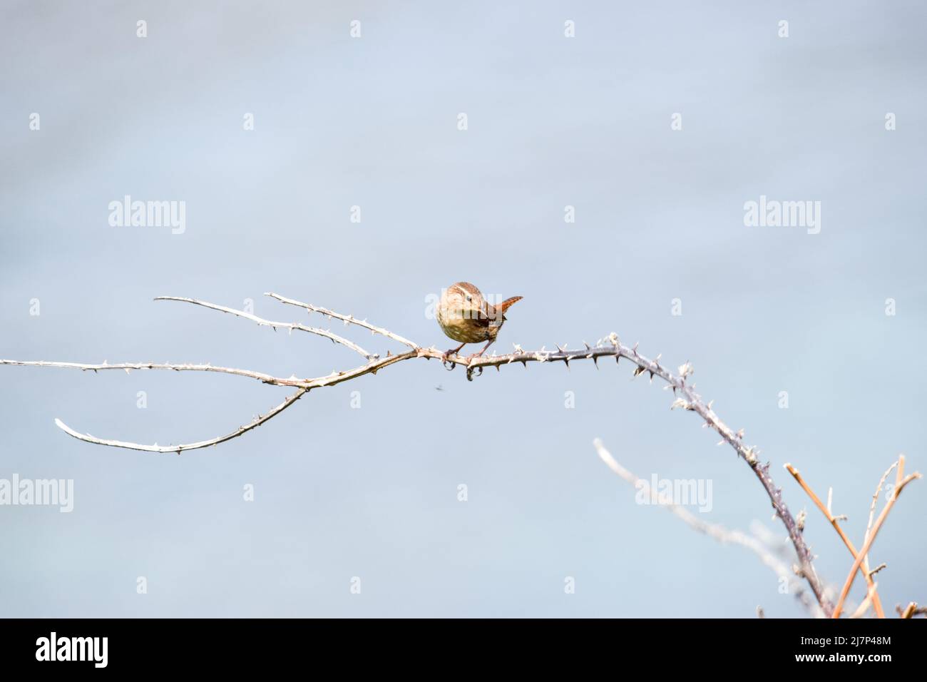 Vault Beach 290422 Stock Photo - Alamy