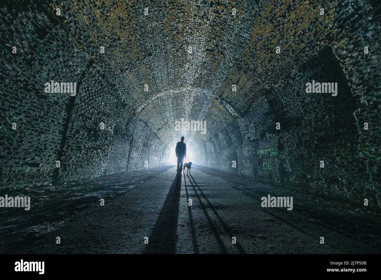 Man and Dog Walk Down Backlit Tunnel Stock Photo - Alamy