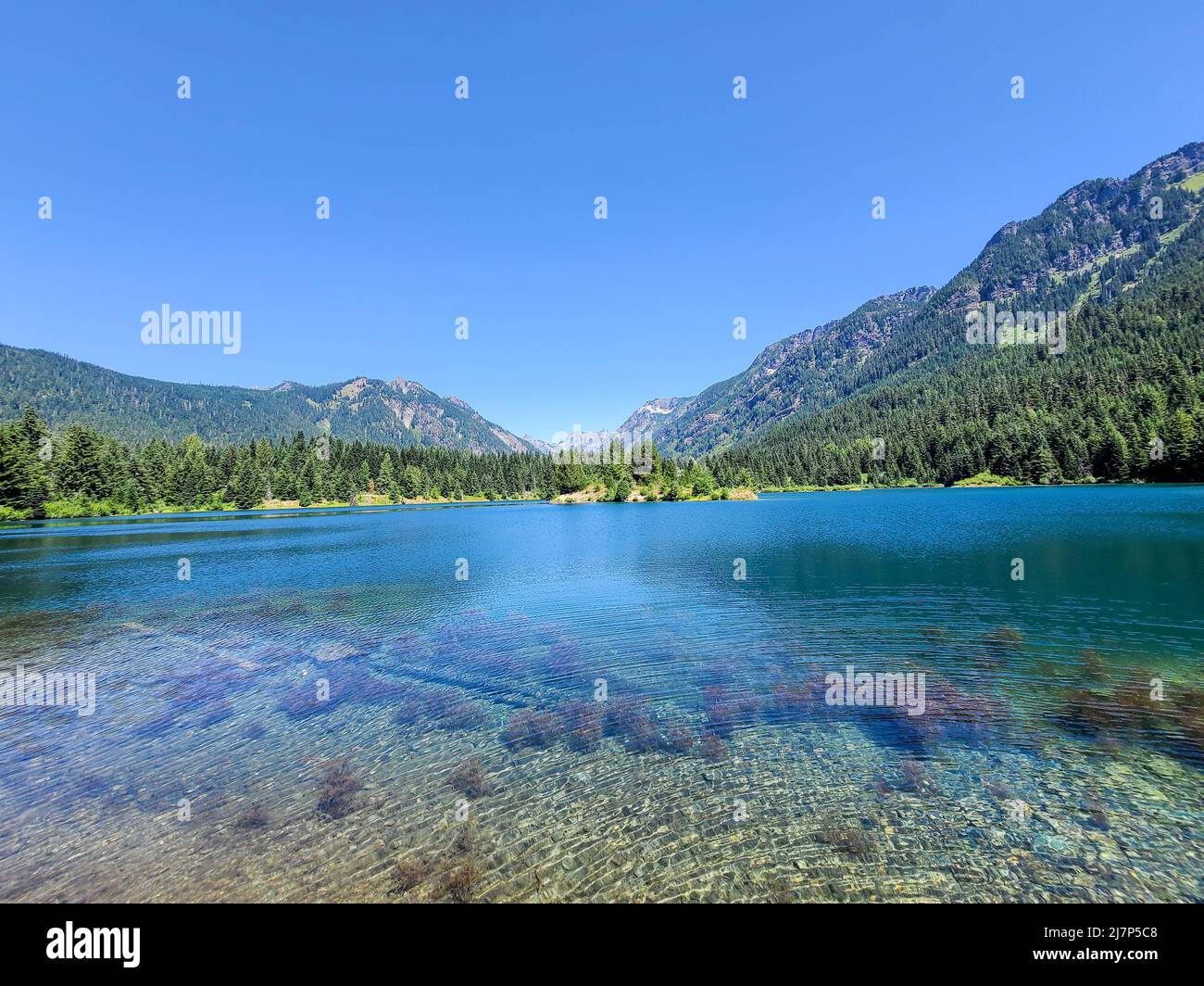 Gold creek pond hi-res stock photography and images - Alamy