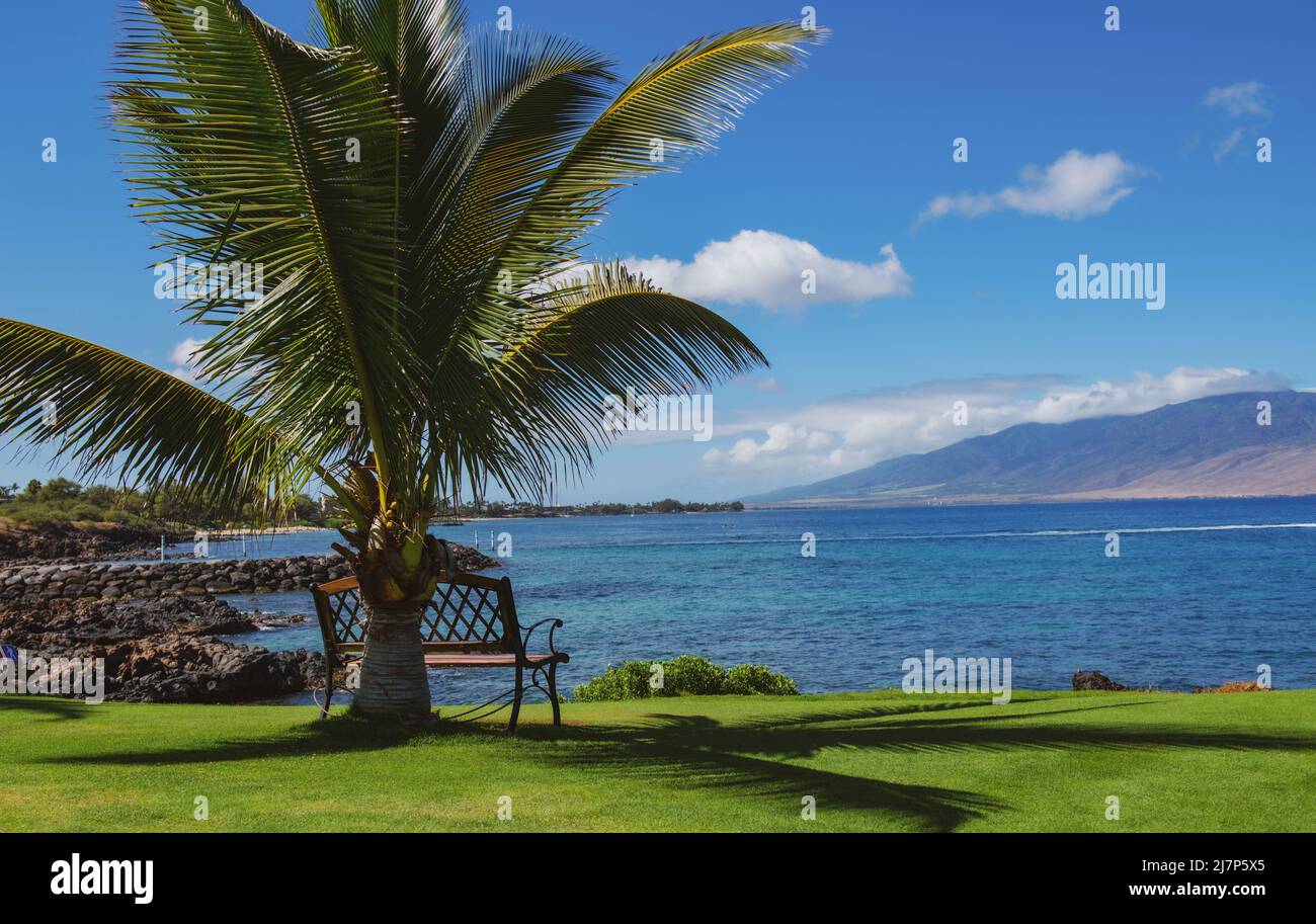 Tropical beach background. Sandy beach with calm wave of turquoise ...
