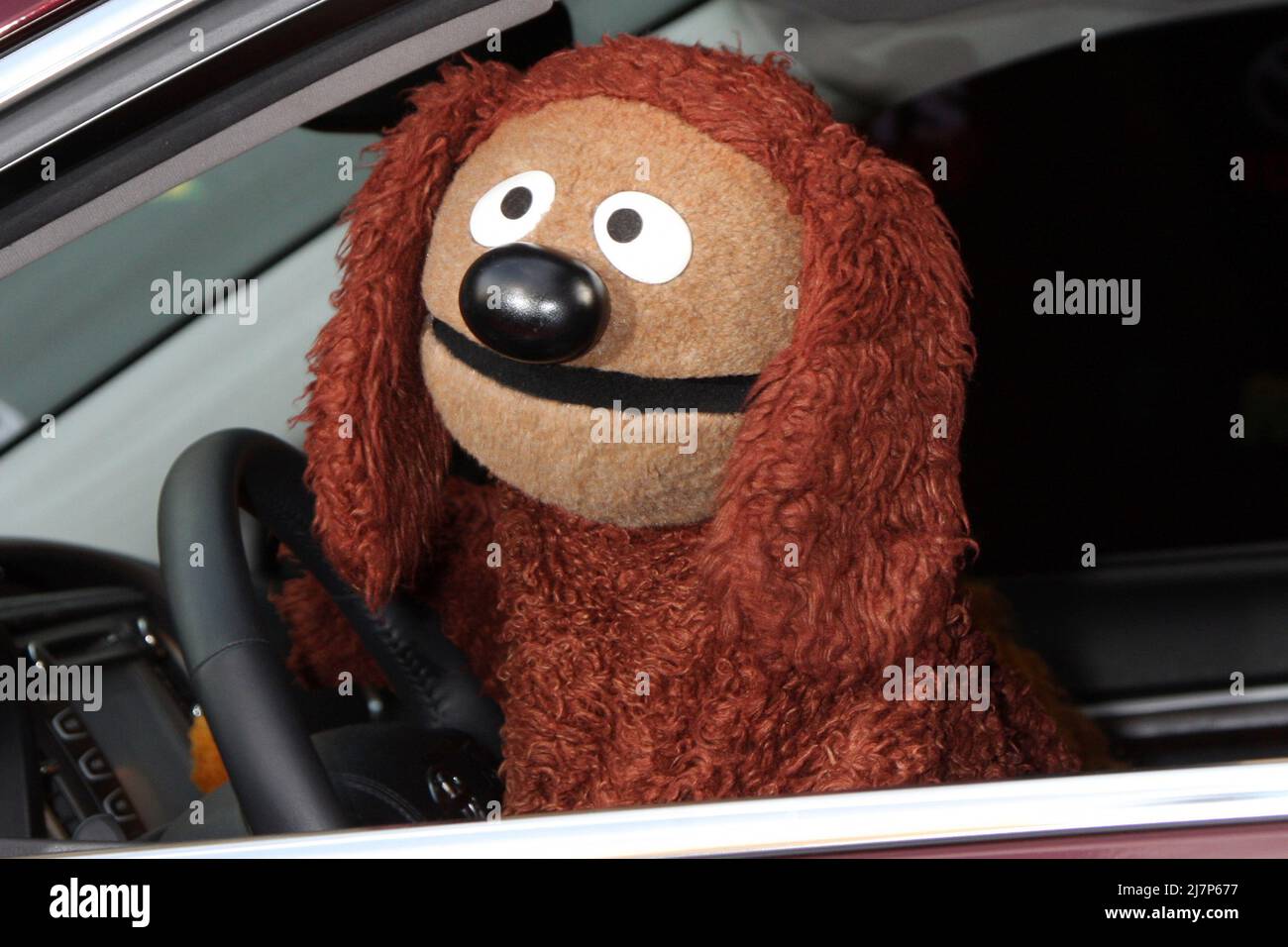 LOS ANGELES - MAR 11: Rowlf at the "Muppets Most Wanted" - Los Angeles ...
