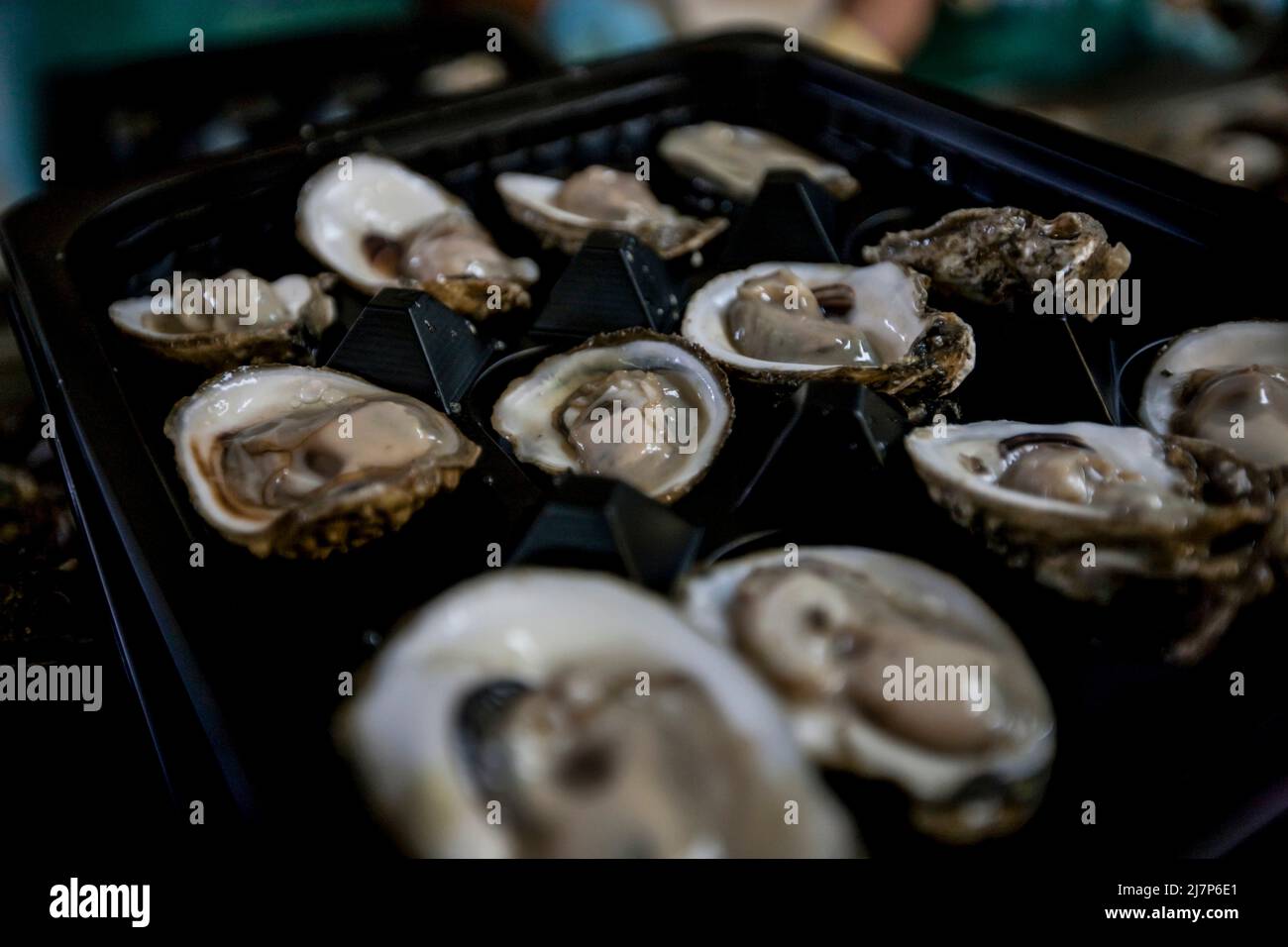 Operations at a large oyster processing facilities the US Stock Photo ...