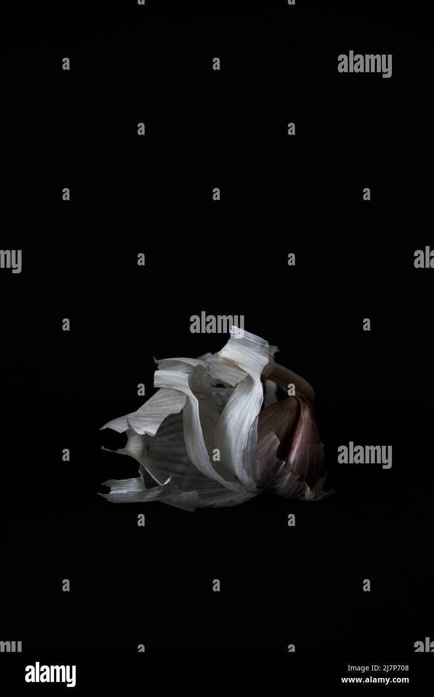 Garlic bolb and cloves on black background Stock Photo - Alamy