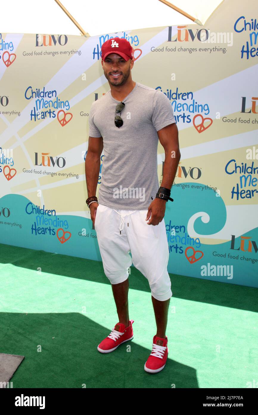 LOS ANGELES - JUN 14: Ricky Whittle at the Children Mending Hearts 6th ...